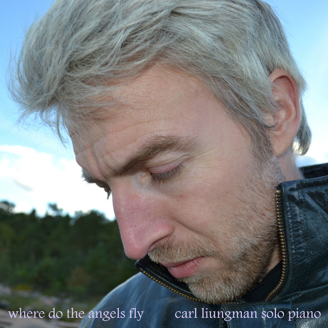Where Do The Angels Fly - Single by Carl Liungman | Spotify