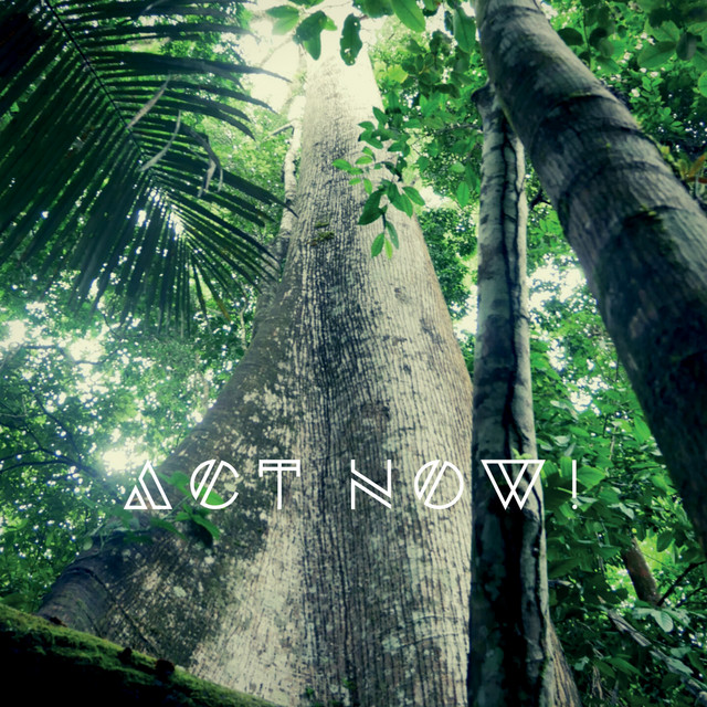 Act Now ! - Album by Artnow | Spotify