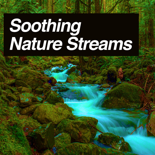 Bubbly Stream - song and lyrics by Soothing Nature Sounds | Spotify