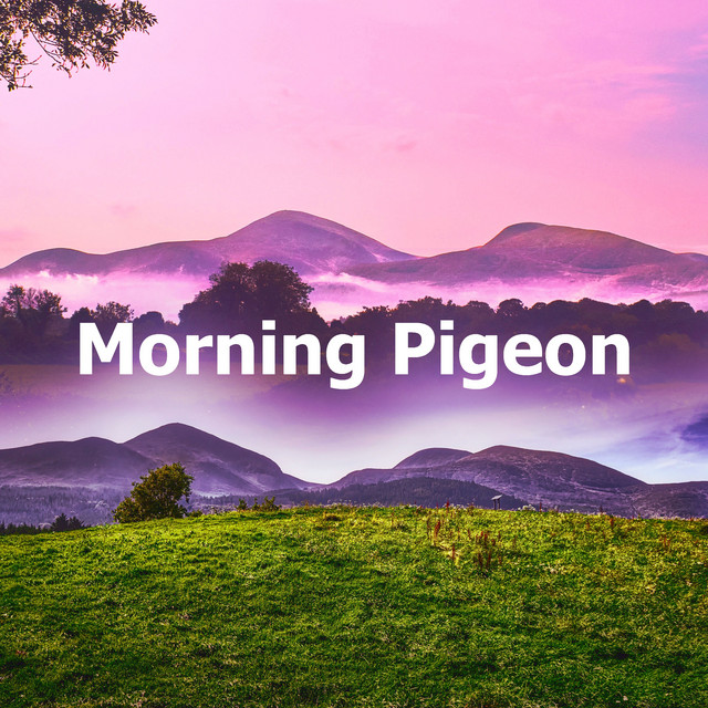 Morning Pigeon - Album by Sounds of Nature Noise | Spotify
