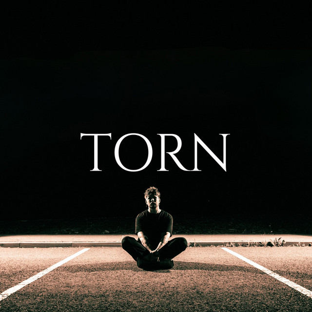 Torn - song and lyrics by Punched Orange | Spotify