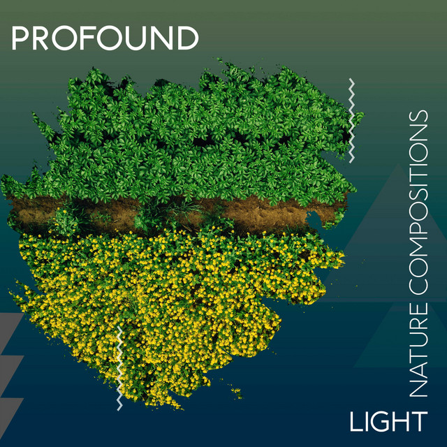 zZz Profound Light Nature Compositions zZz - Album by Nature & Sounds ...