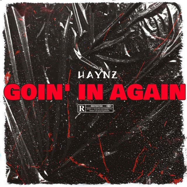 Goin' In Again - Single by HAYNZ | Spotify