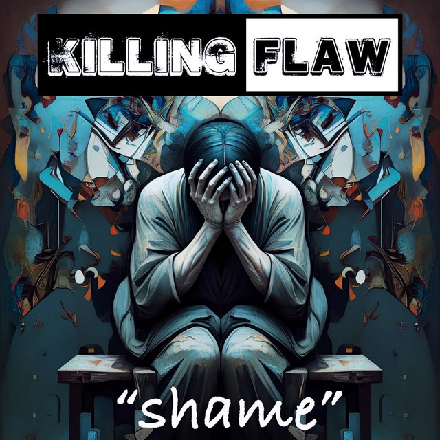 Shame - song and lyrics by Killing Flaw | Spotify