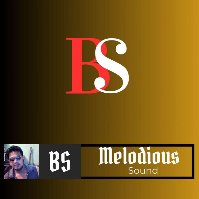BS Shadows of Night - Album by BS Melodious Sound | Spotify