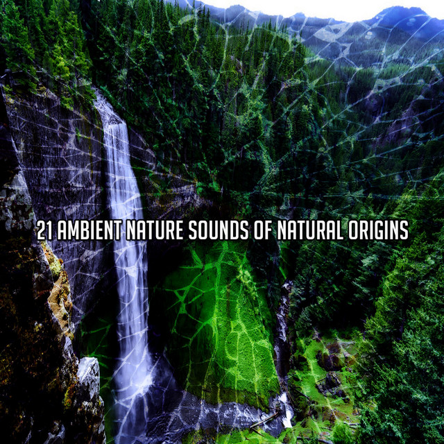 21 Ambient Nature Sounds Of Natural Origins - Album by Outside ...