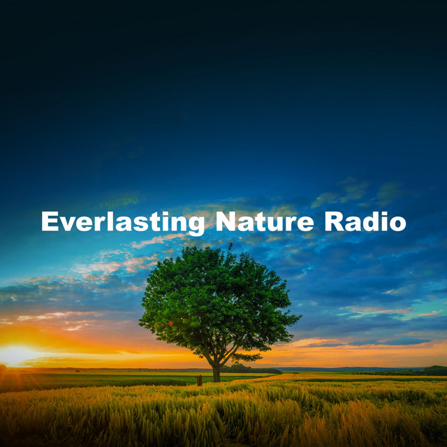 Everlasting Nature Radio - Album by Ambi Nature Radio | Spotify