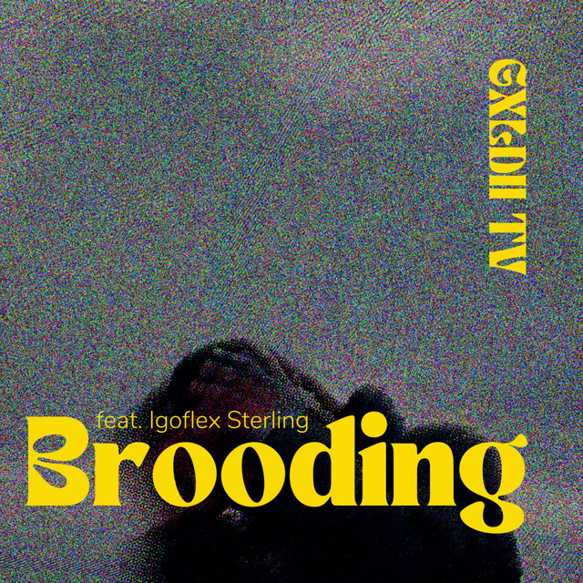 Brooding - song by GXLDII TV, Igoflex Sterling | Spotify
