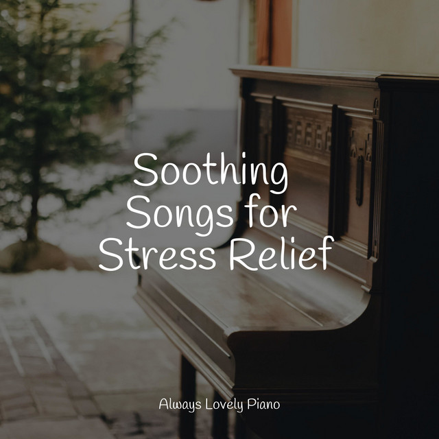 Soothing Songs for Stress Relief - Album by Meditaciones | Spotify