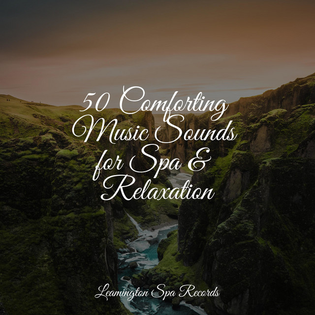 50 Comforting Music Sounds for Spa & Relaxation - Album by Chakra ...
