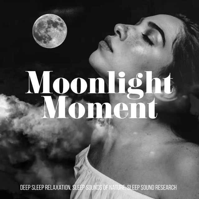 Moonlight Moment - Album by Deep Sleep Relaxation, Sleep Sounds of ...