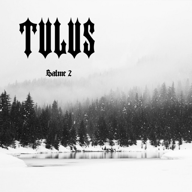 Salme II - Single by Tulus | Spotify