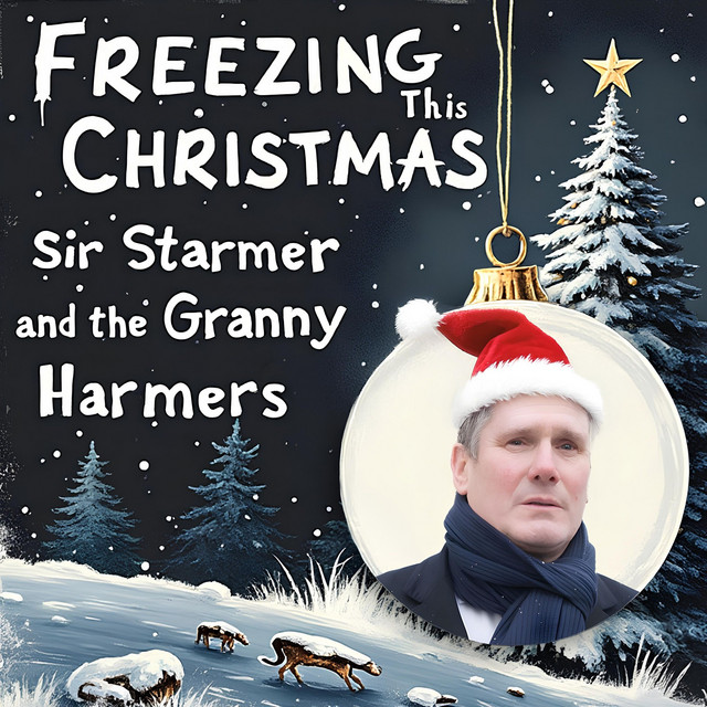 Freezing This Christmas - song and lyrics by Sir Starmer and the Granny ...