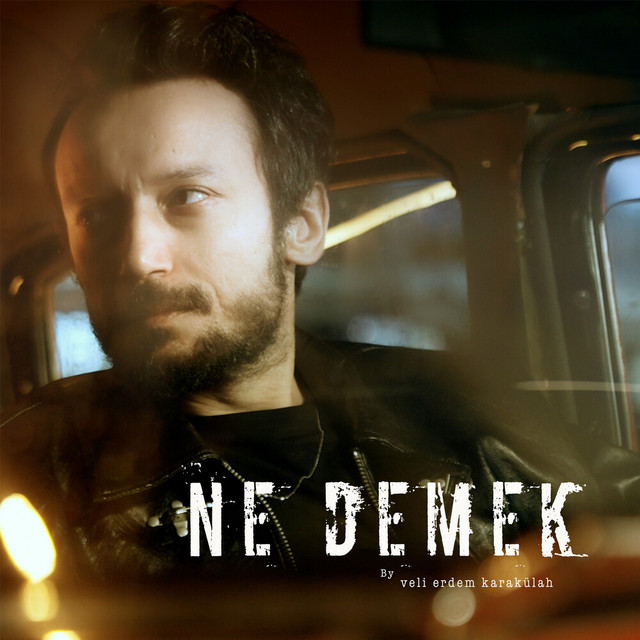 Ne Demek - song and lyrics by Veli Erdem Karakülah | Spotify