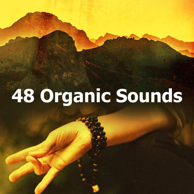 48 Organic Sounds - Album by Musica de Relajación Academy | Spotify