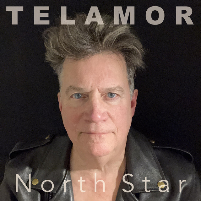 North Star - Album by Telamor | Spotify
