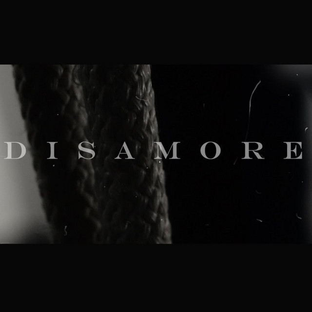 Disamore - Single by Michele Falzoi | Spotify