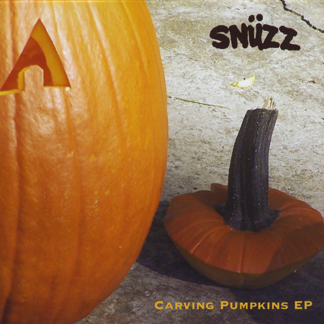 Never Coming Back - song and lyrics by Snuzz | Spotify