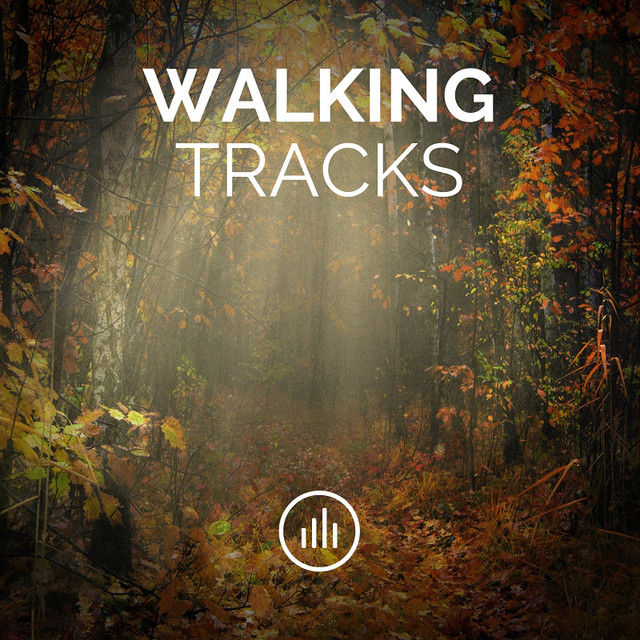 Summer Walk - song and lyrics by myNoise | Spotify