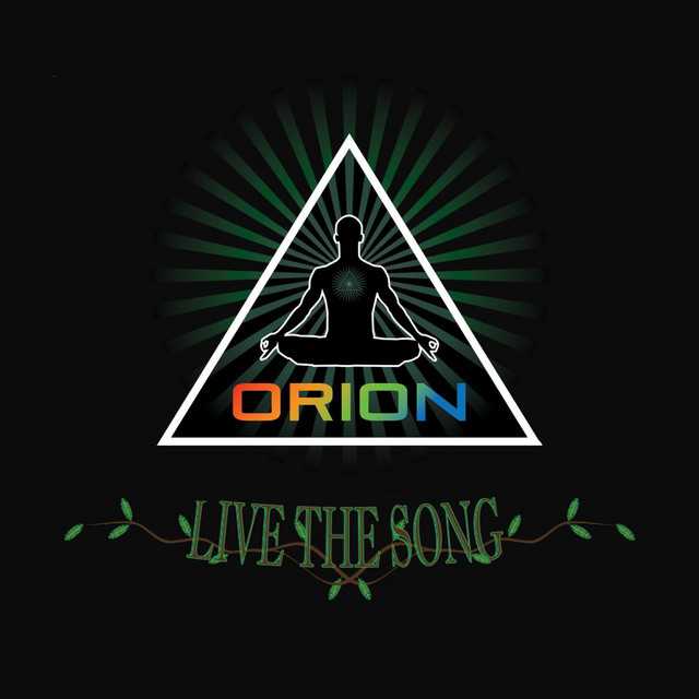 Live the Song - Album by ORION | Spotify