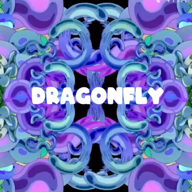 Dragonfly - Single by Animal Afterlife | Spotify