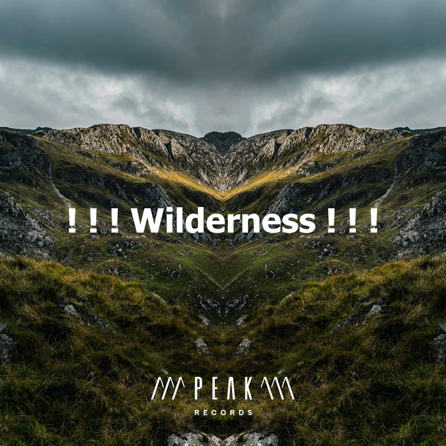 Wilderness ! ! ! - Album by Outside Broadcast Recordings | Spotify