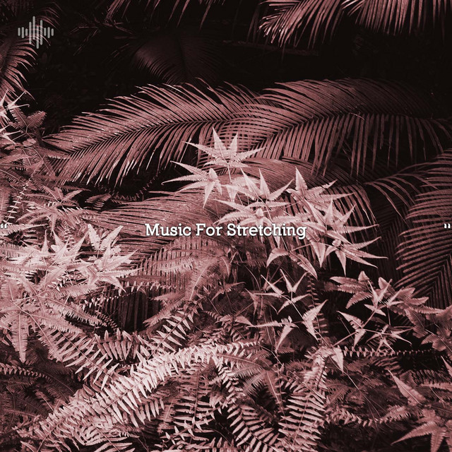 " Music For Stretching " - Album by Yoga Music | Spotify