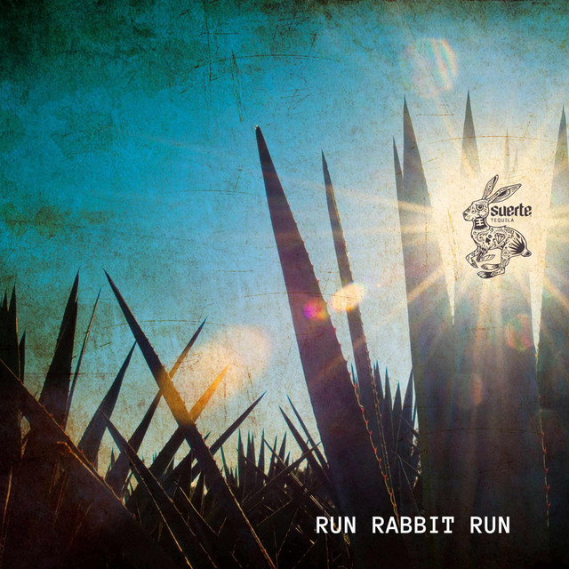Run Rabbit Run - Single by Falcon Punch | Spotify