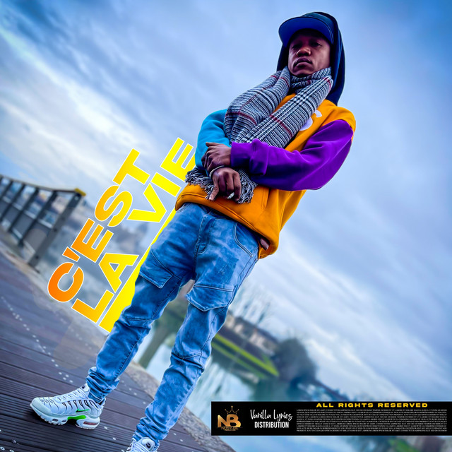 C'est la vie - Single by Basta Lion | Spotify