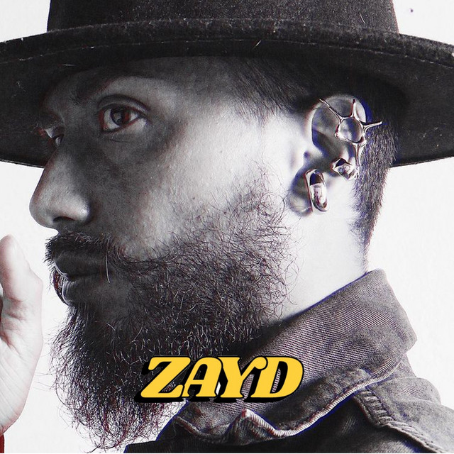 Unholy Work - Single by Zayd | Spotify