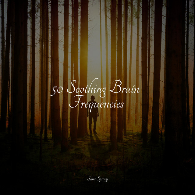 50 Soothing Brain Frequencies - Album by Music to Relax in Free Time ...