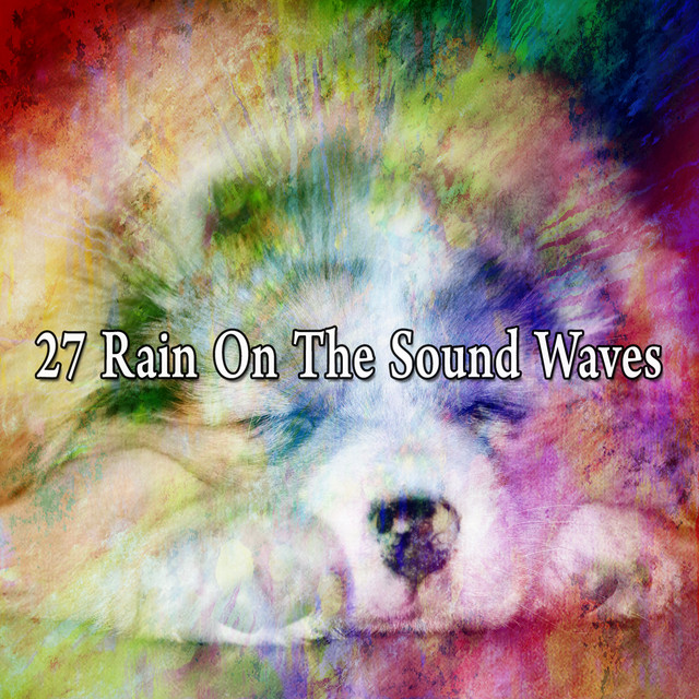 27 Rain On The Sound Waves - Album by Rain Recorders | Spotify
