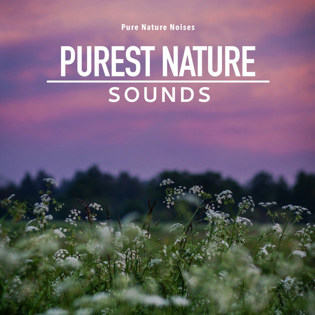 Purest Nature Sounds - Album by Pure Nature Noises | Spotify