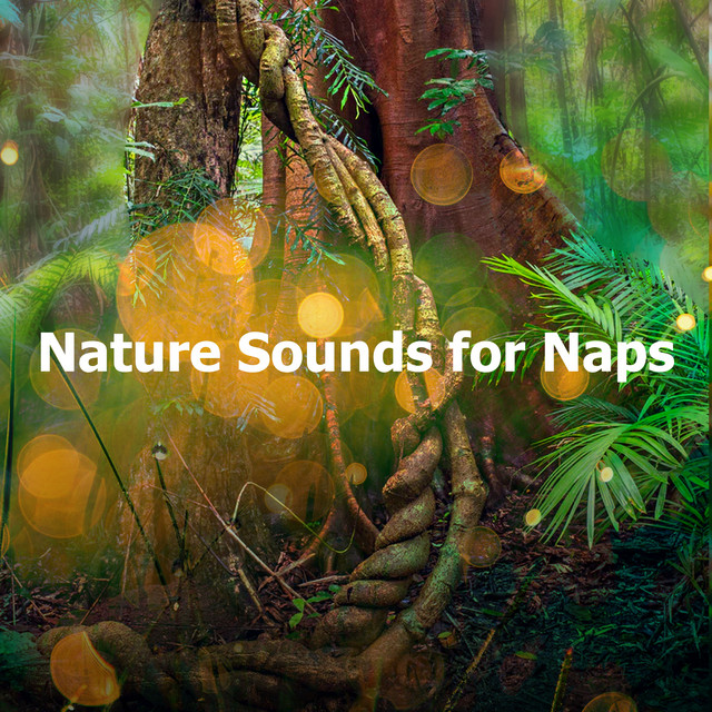 Nature Sounds for Naps - Album by Australian Nature Sounds | Spotify