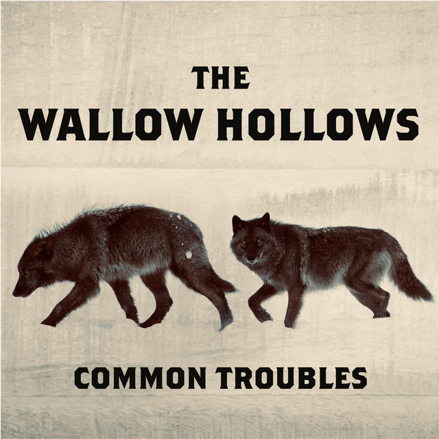 Common Troubles - Single by The Wallow Hollows | Spotify