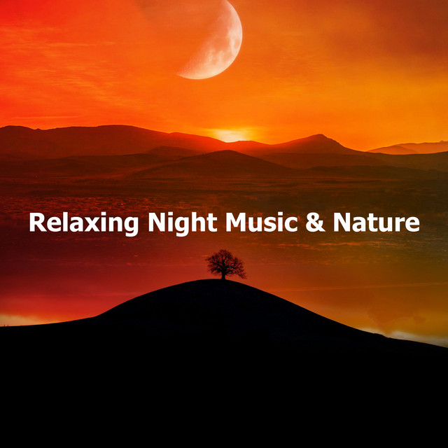 Relaxing Night Music & Nature - Album by Night Sounds | Spotify