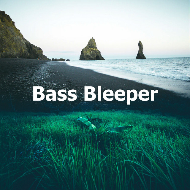 Bass Bleeper - Album by Hi Freq Samples | Spotify