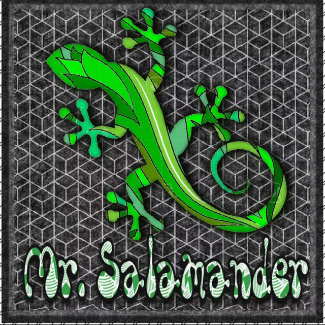 Mr. Salamander - Single by The Jake Deringer Project | Spotify