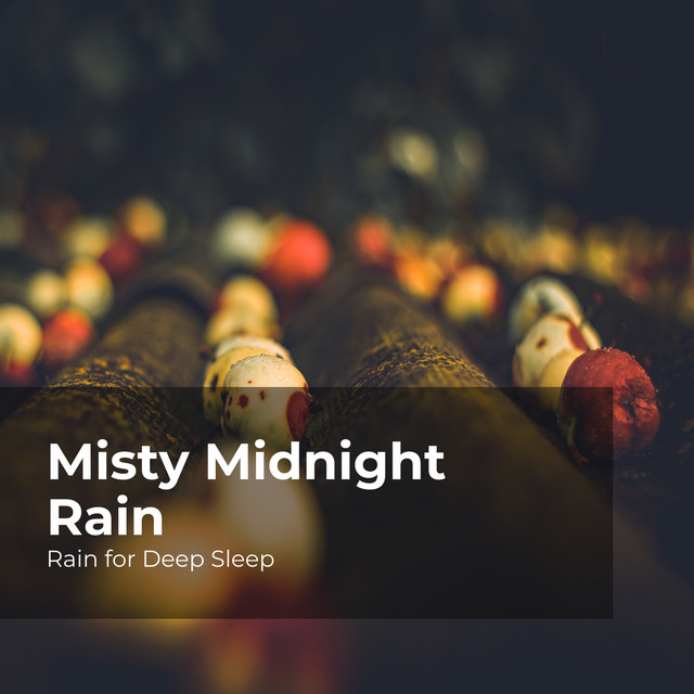 Misty Midnight Rain - Album by Rain for Deep Sleep | Spotify