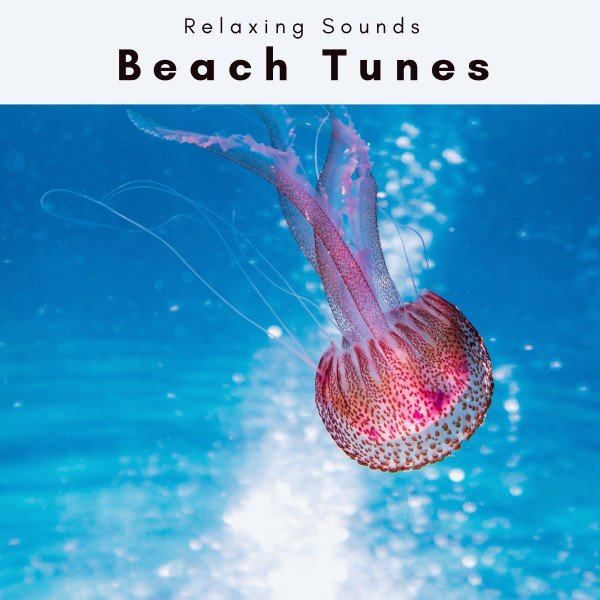 2022 Beach Tunes - Album by Soothing Waves Of Nerja | Spotify