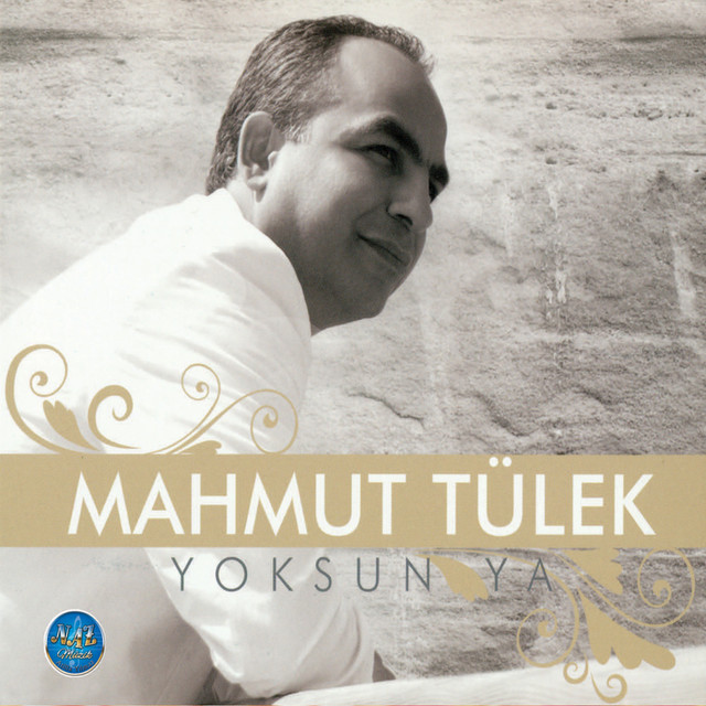 Yoksun Ya - Album - Mahmut Tülek | Spotify