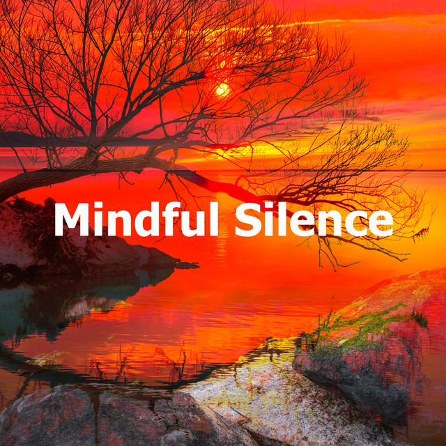 Mindful Silence - Album by Dormir | Spotify