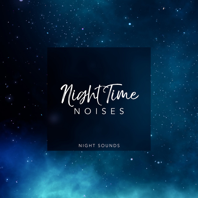 Night Time Noises - Album by Night Sounds | Spotify
