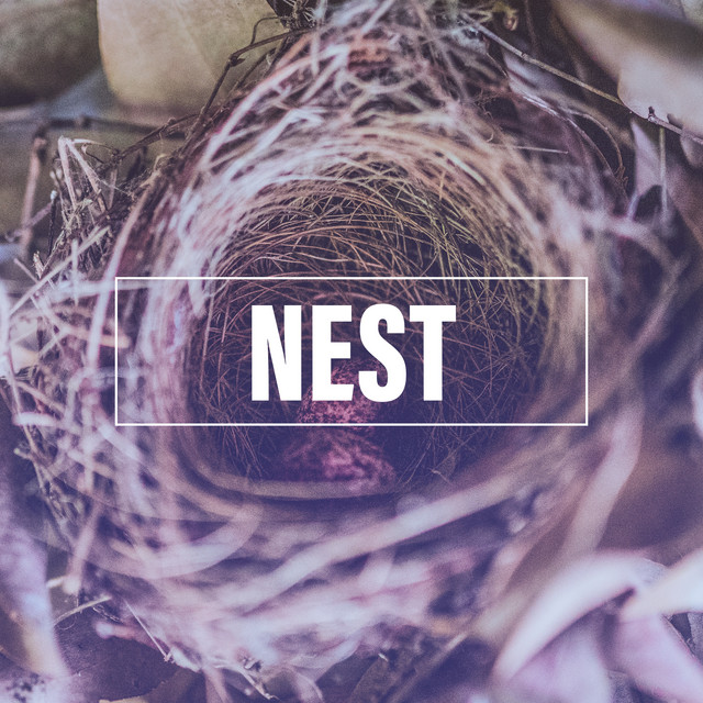 Nest ! ! - Album by Pro Sounds of Nature | Spotify