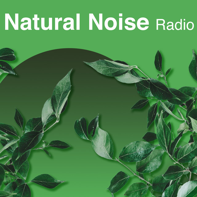 Natural Noise Radio ! ! ! - Album by Nature Sounds Artists | Spotify