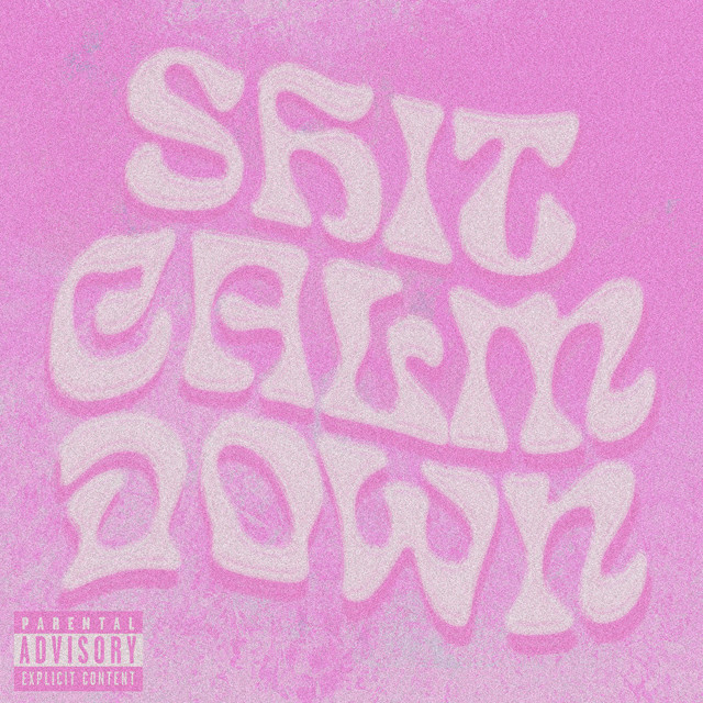 Shit Calm Down !!! - Single by Fokiwa | Spotify