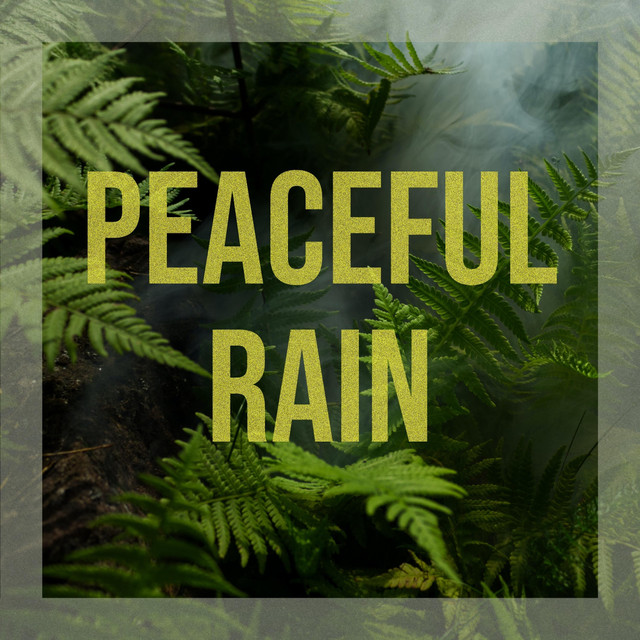 Peaceful Rain - Album by Spatial Audio Sleep | Spotify