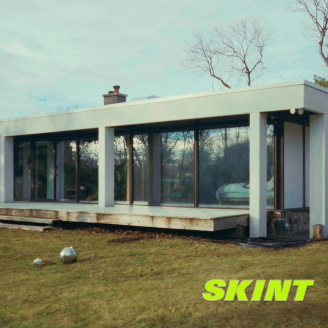 Skint - Single by The Dead Bolts | Spotify