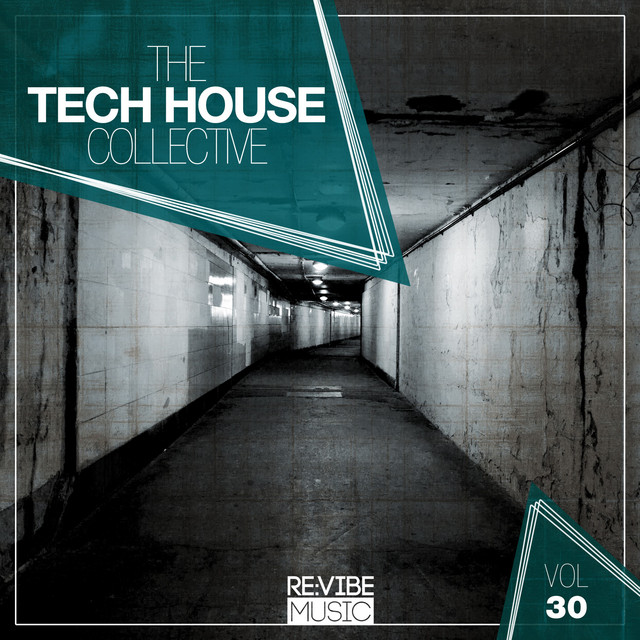 The Tech House Collective, Vol. 30 - Compilation by Various Artists ...