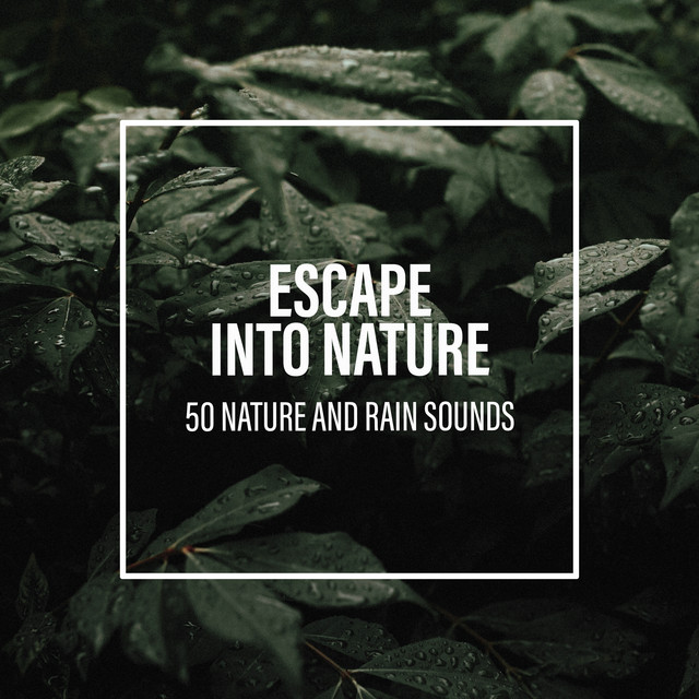 Escape into Nature: 50 Nature and Rain Sounds - Album by Nature and ...